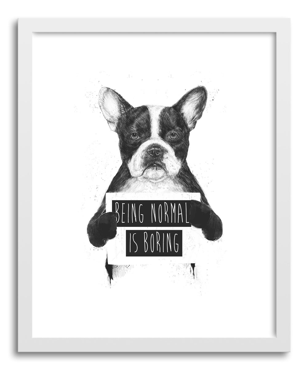 Normal Is Boring
