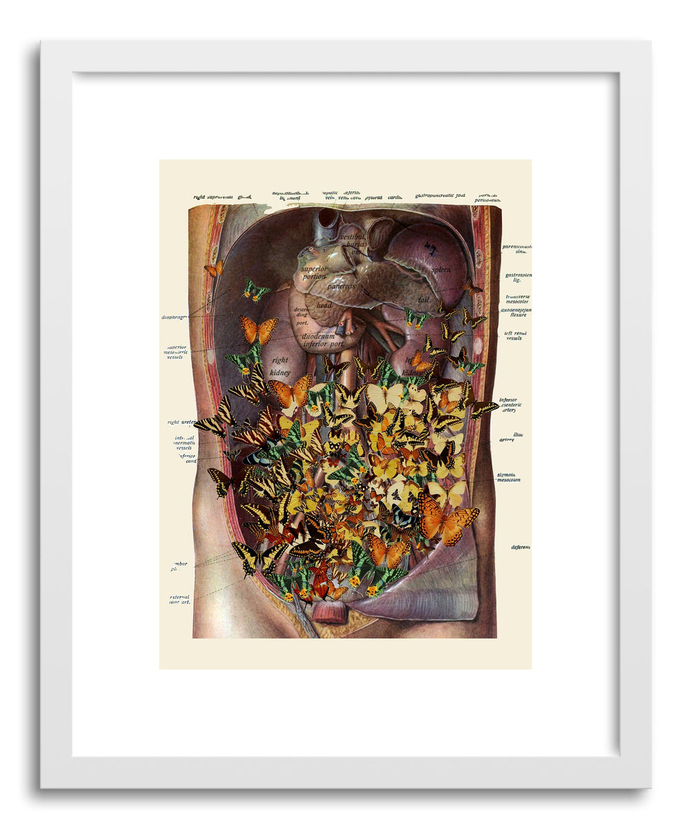 Fine art print Feeling Fluttery by artist Travis Bedel – Art Crate