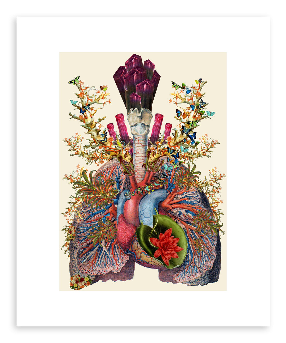 Fine art print Adore by artist Travis Bedel – Art Crate