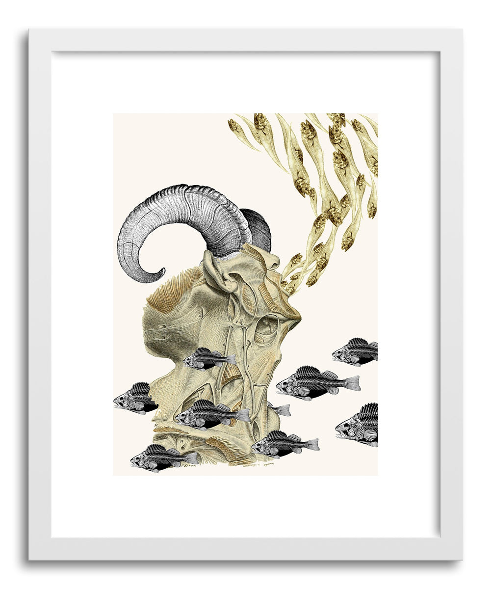 Fine art print Pisces Aries the Cusp by artist Travis Bedel – Art Crate