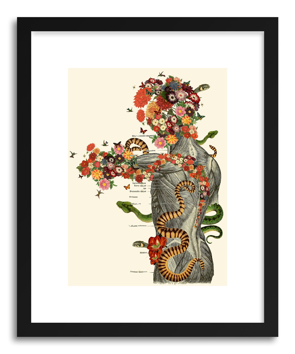 Fine art print Serpens by artist Travis Bedel – Art Crate