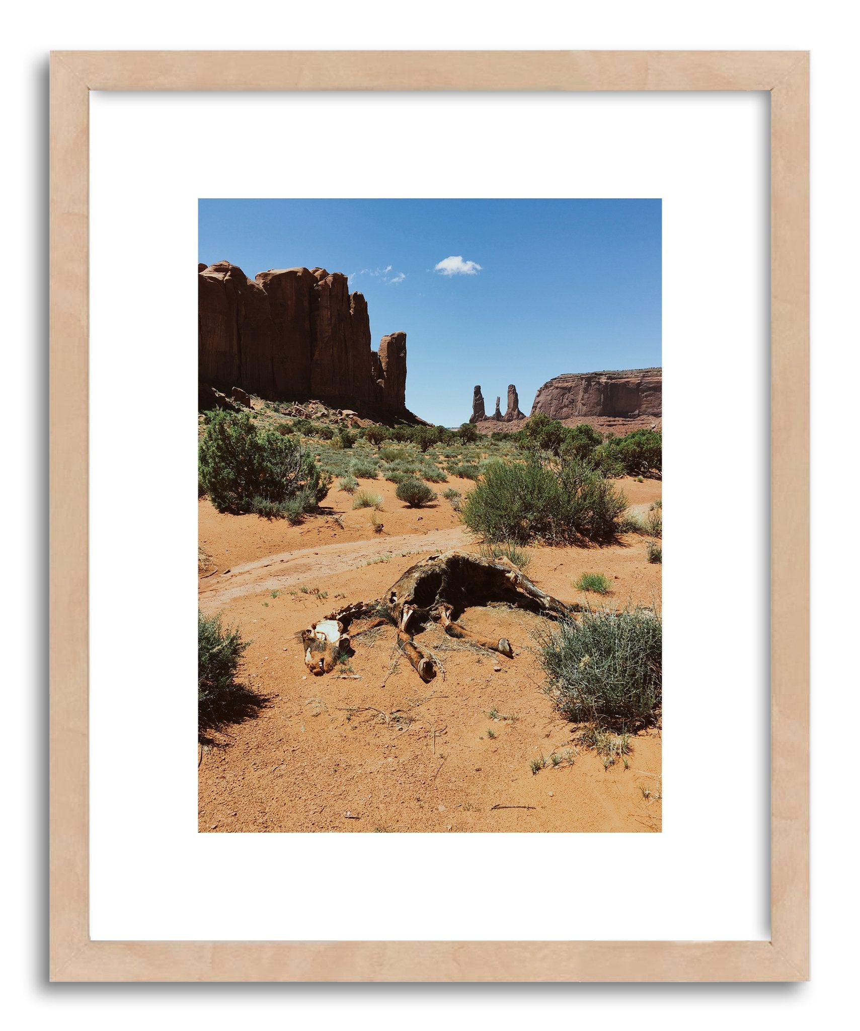 Desert Frame