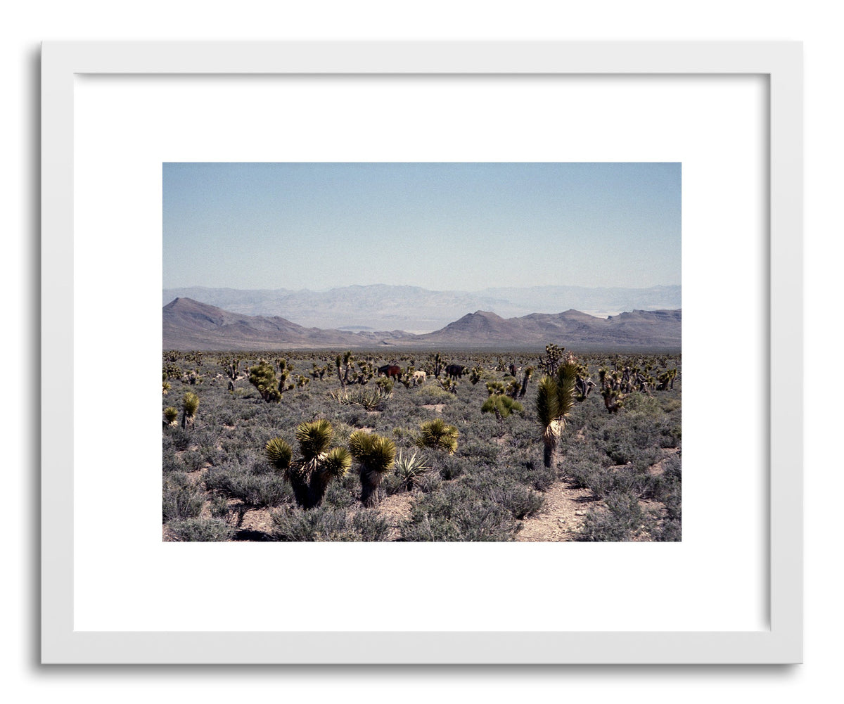 Fine art print Desert Mountain Horses by artist Kevin Russ – Art Crate