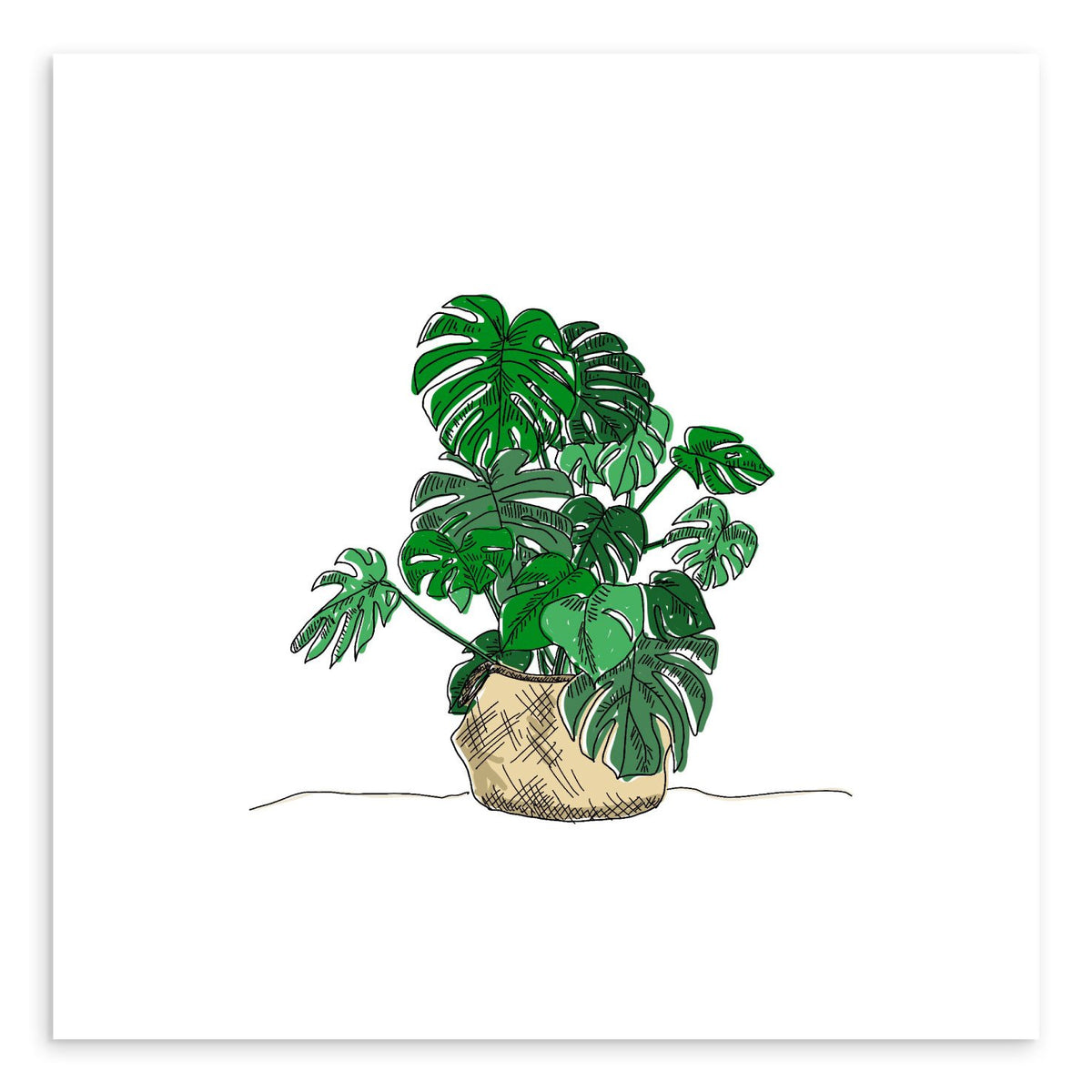 Fine art print Monstera by artist Peggy Dean – Art Crate